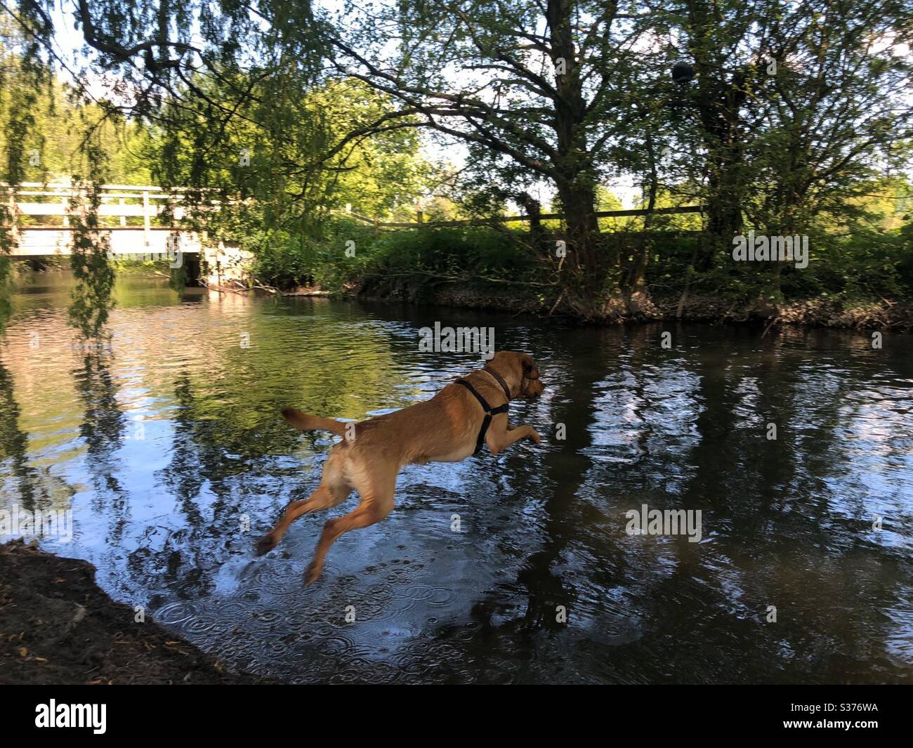 Dive for that ball Stock Photo - Alamy