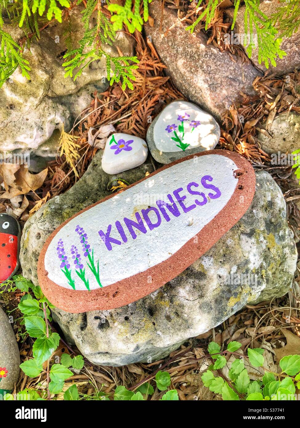Painted garden stones Stock Photo - Alamy
