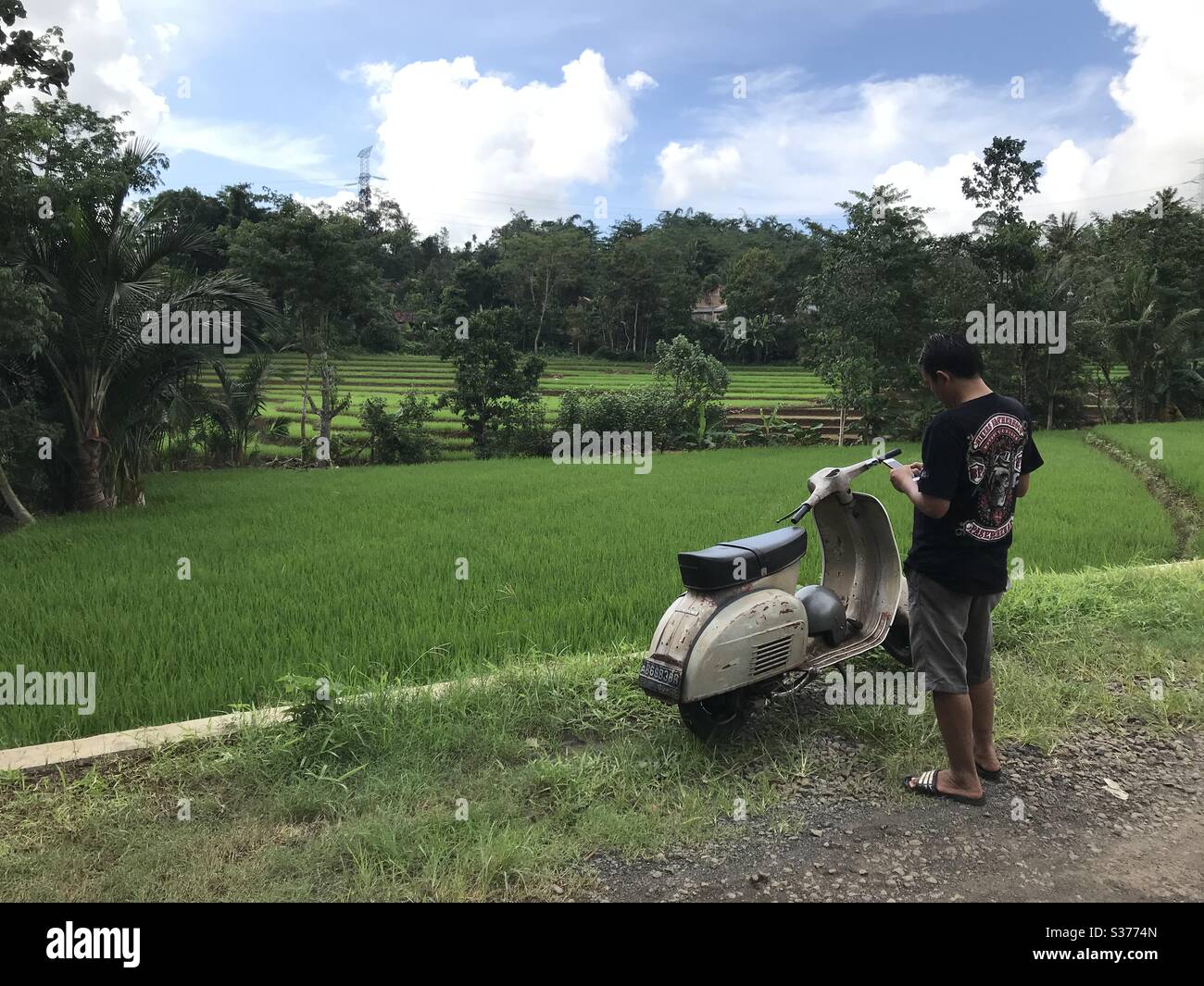 Edge of rice field hi-res stock photography and images - Alamy