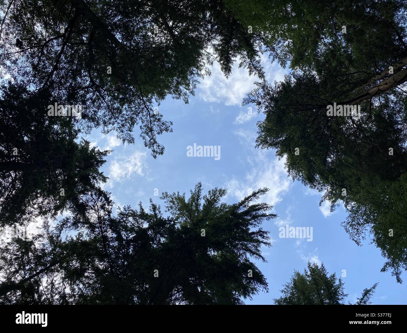 Blue canopy hi-res stock photography and images - Alamy