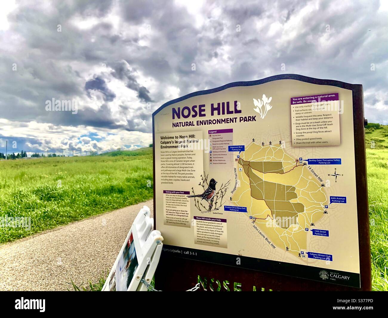 Natural environment park hi-res stock photography and images - Alamy