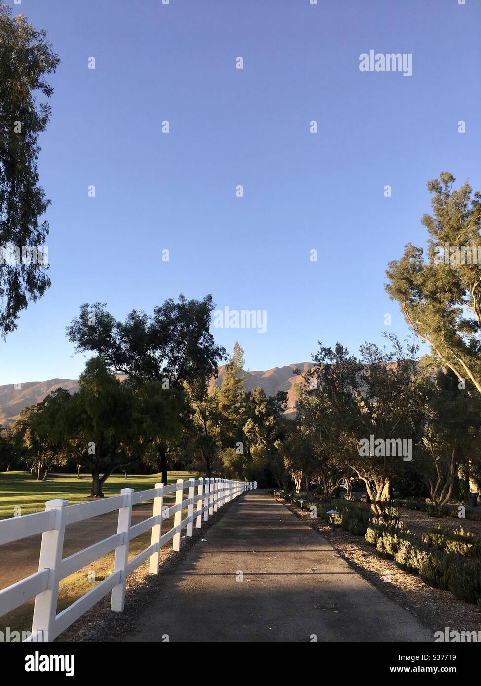 Walking along fence hi-res stock photography and images - Alamy