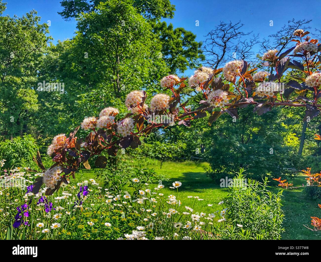 The colours of nature Stock Photo - Alamy