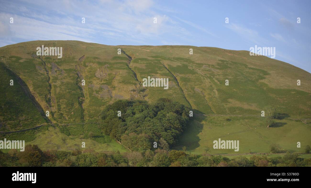 Photograph of greenery hi-res stock photography and images - Alamy