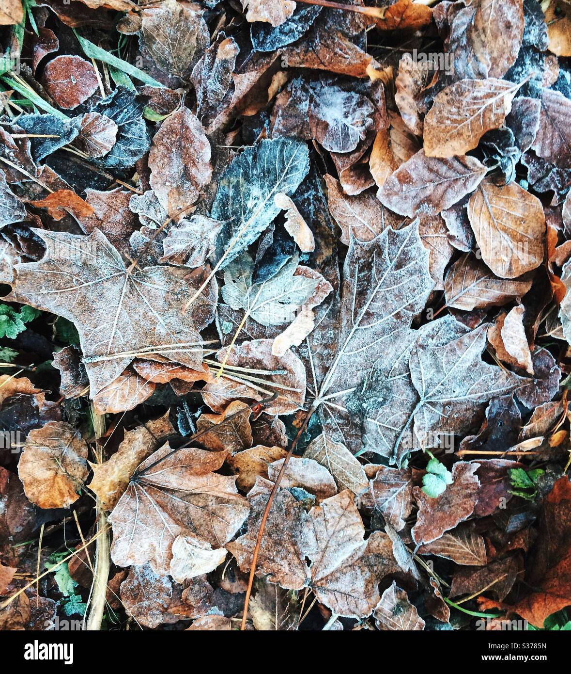 Frosted earth hi-res stock photography and images - Alamy