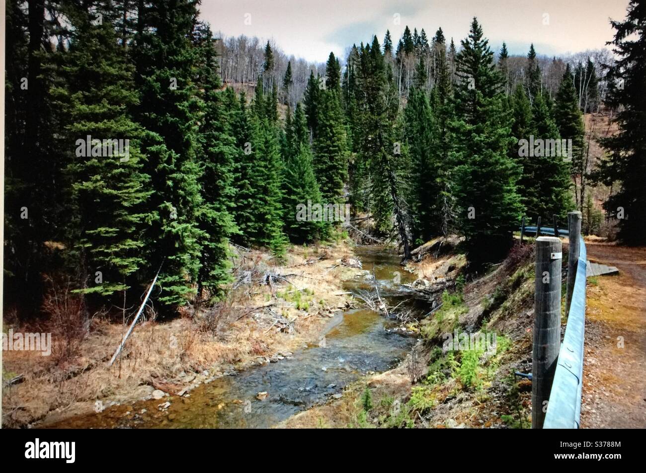 Visit Alberta, Silver Creek, Skunk Hollow, travel Alberta, Canada Stock ...