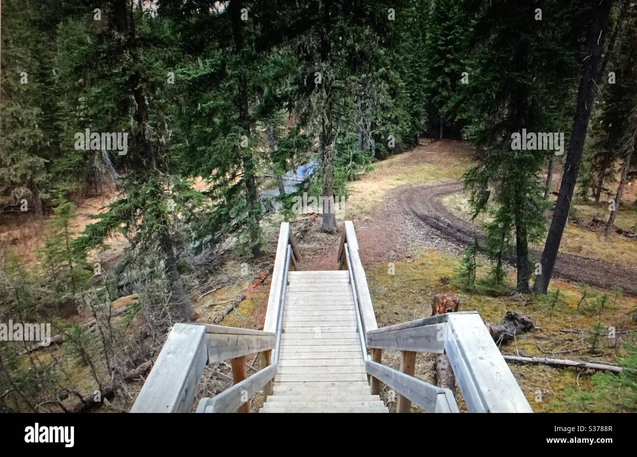 Visit Alberta, Stairway to Skunk Hollow ,Skunk Hollow, travel Alberta ...
