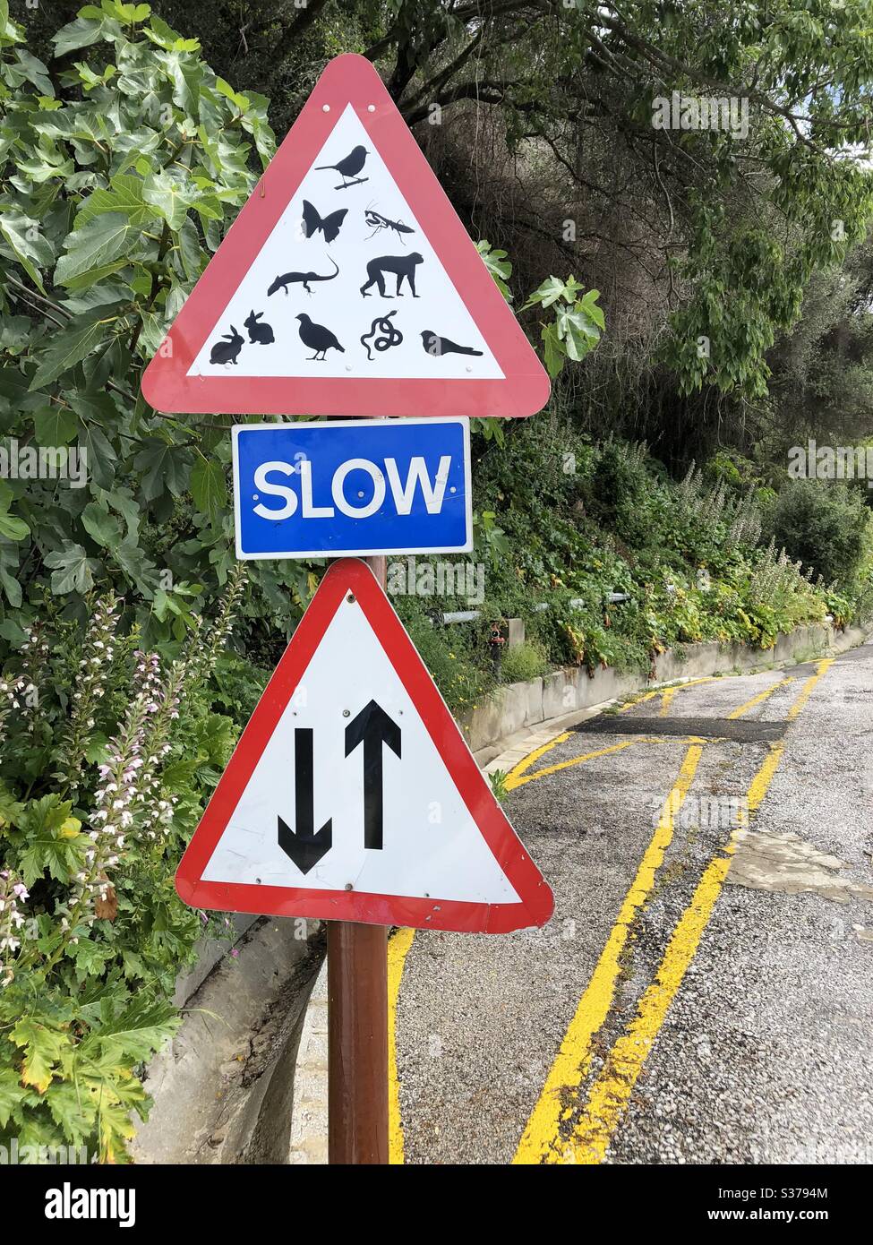 Road sign in the upper rock nature reserve in Gibraltar Stock Photo - Alamy