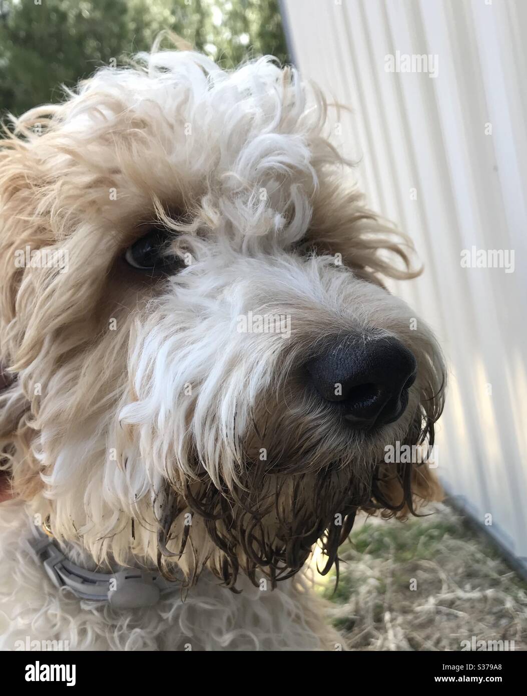 Going mudding hi-res stock photography and images - Alamy