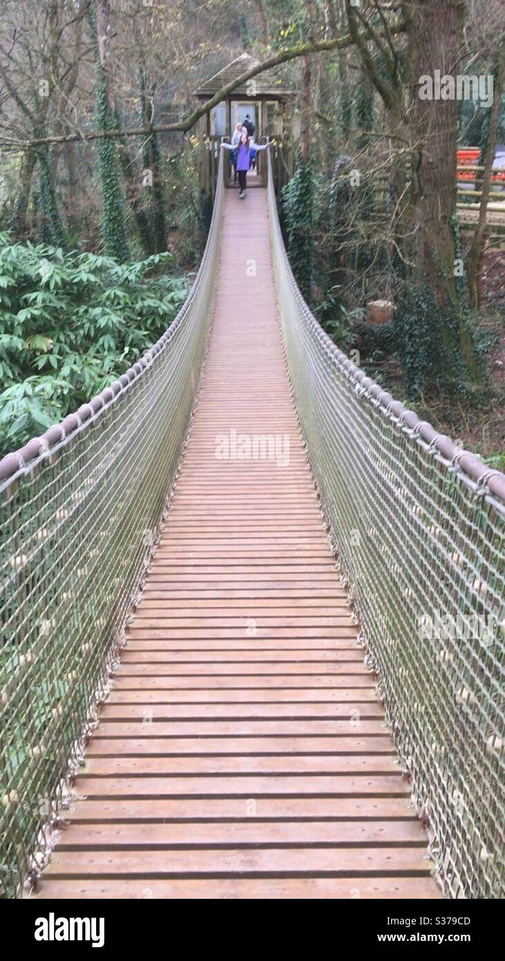 Swingy bridge hi-res stock photography and images - Alamy