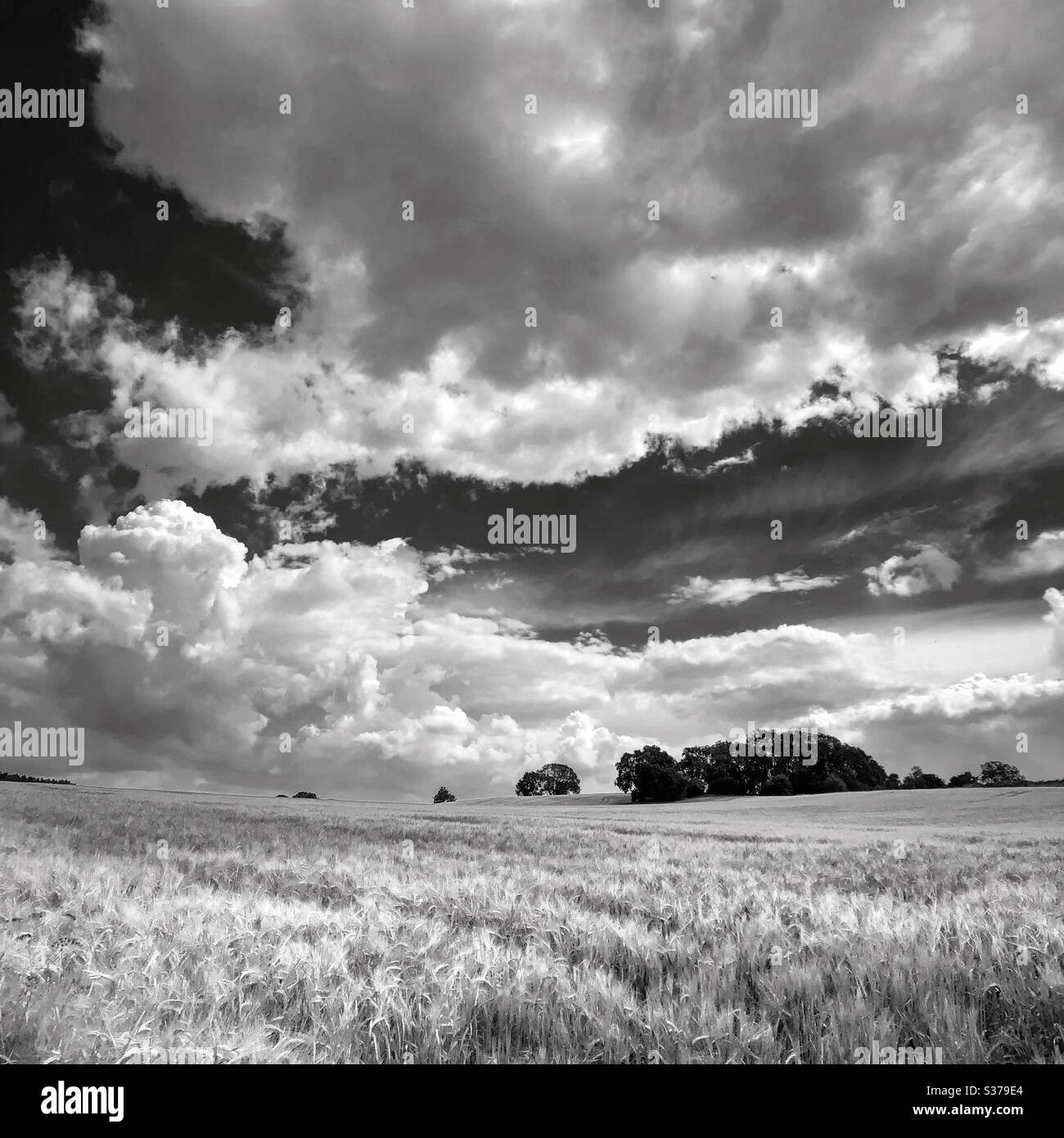 Storm clouds brewing over the countryside Stock Photo - Alamy