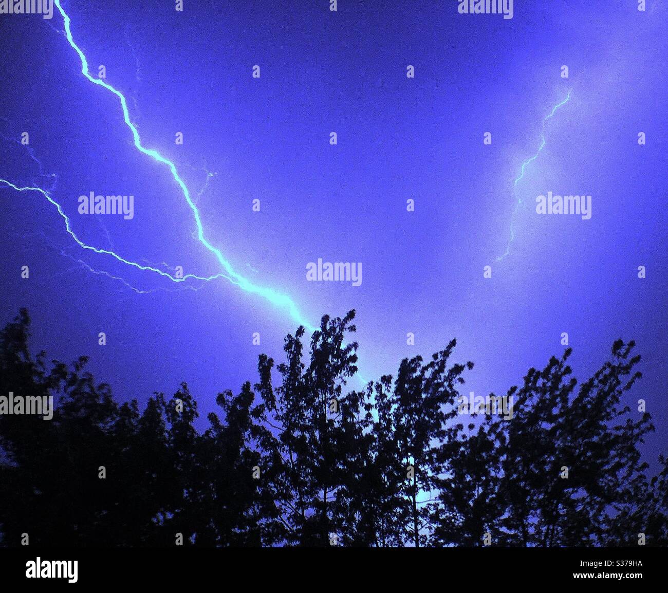 Lightning Over Trees Stock Photo - Alamy