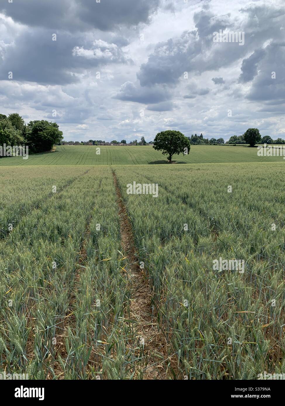 English fields hi-res stock photography and images - Alamy