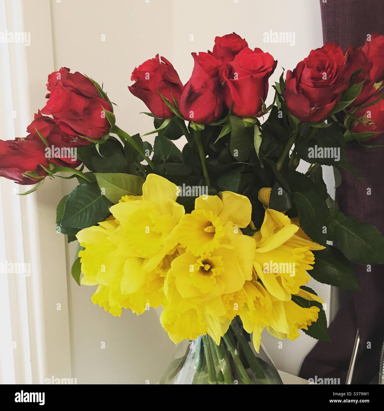 Roses and daffodils hi-res stock photography and images - Alamy