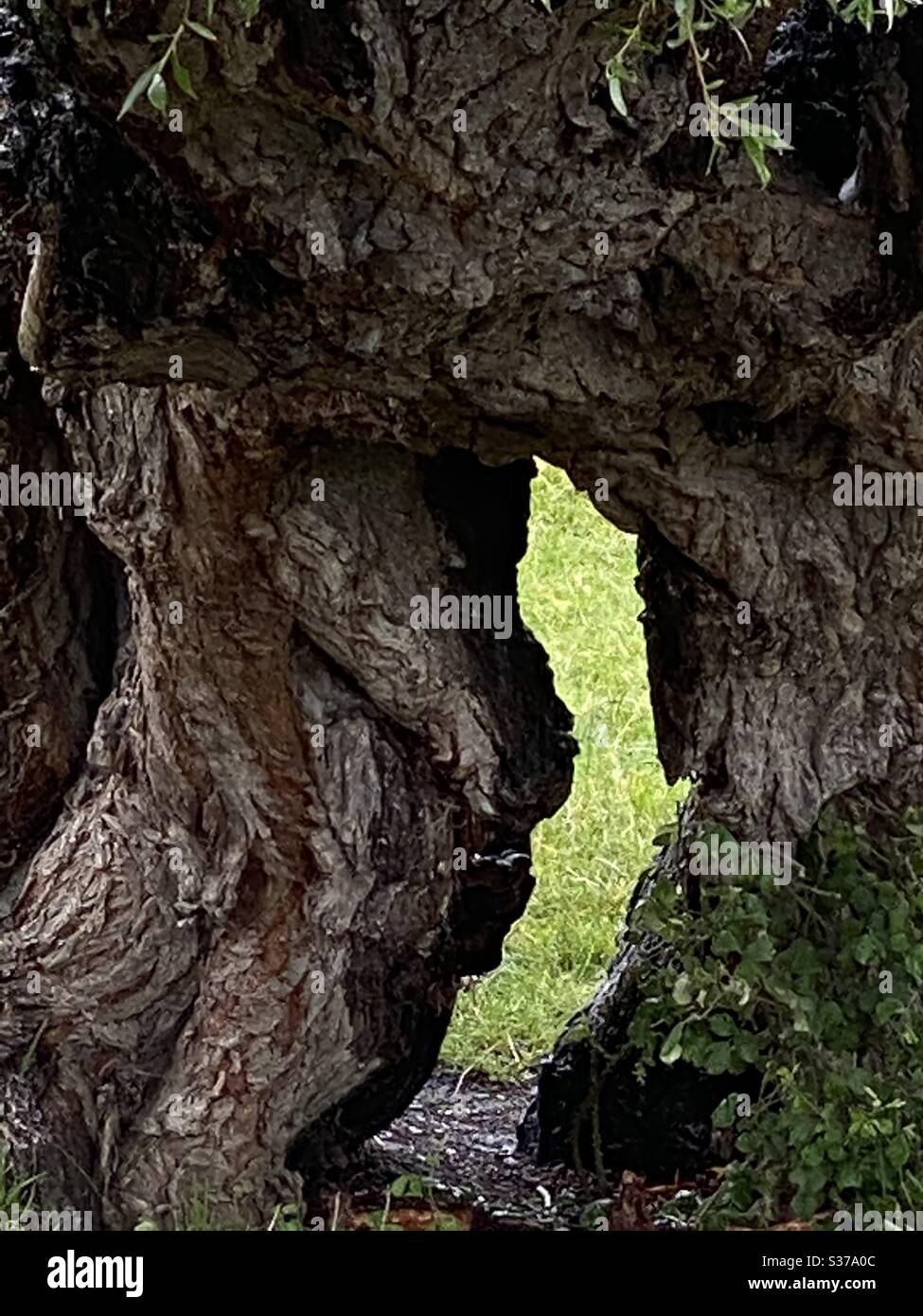 Secret gateway hi-res stock photography and images - Alamy