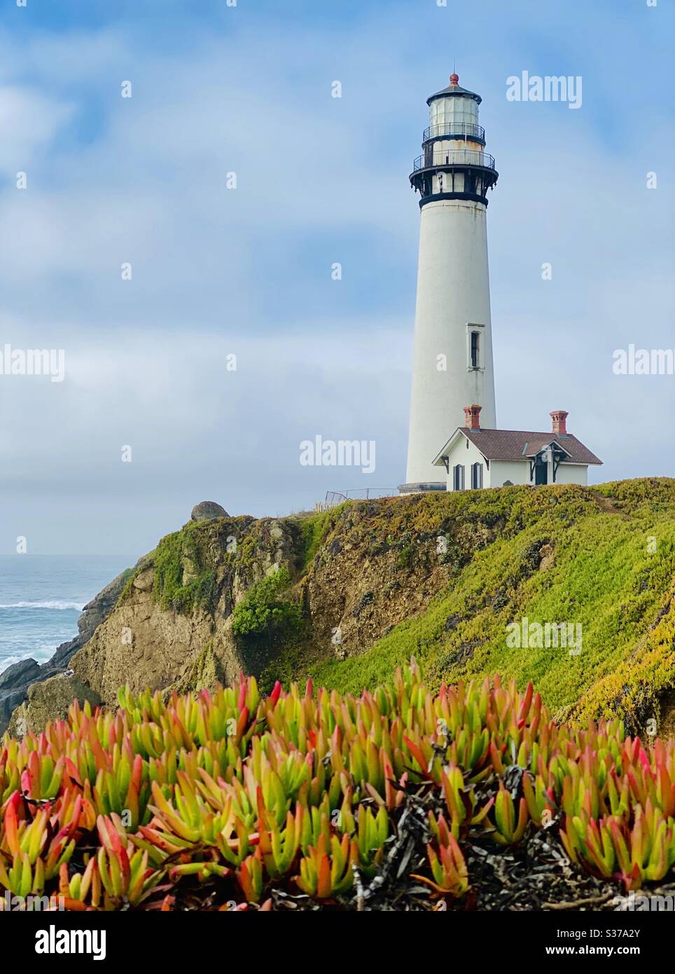 Pigeon point lighthouse hi-res stock photography and images - Alamy