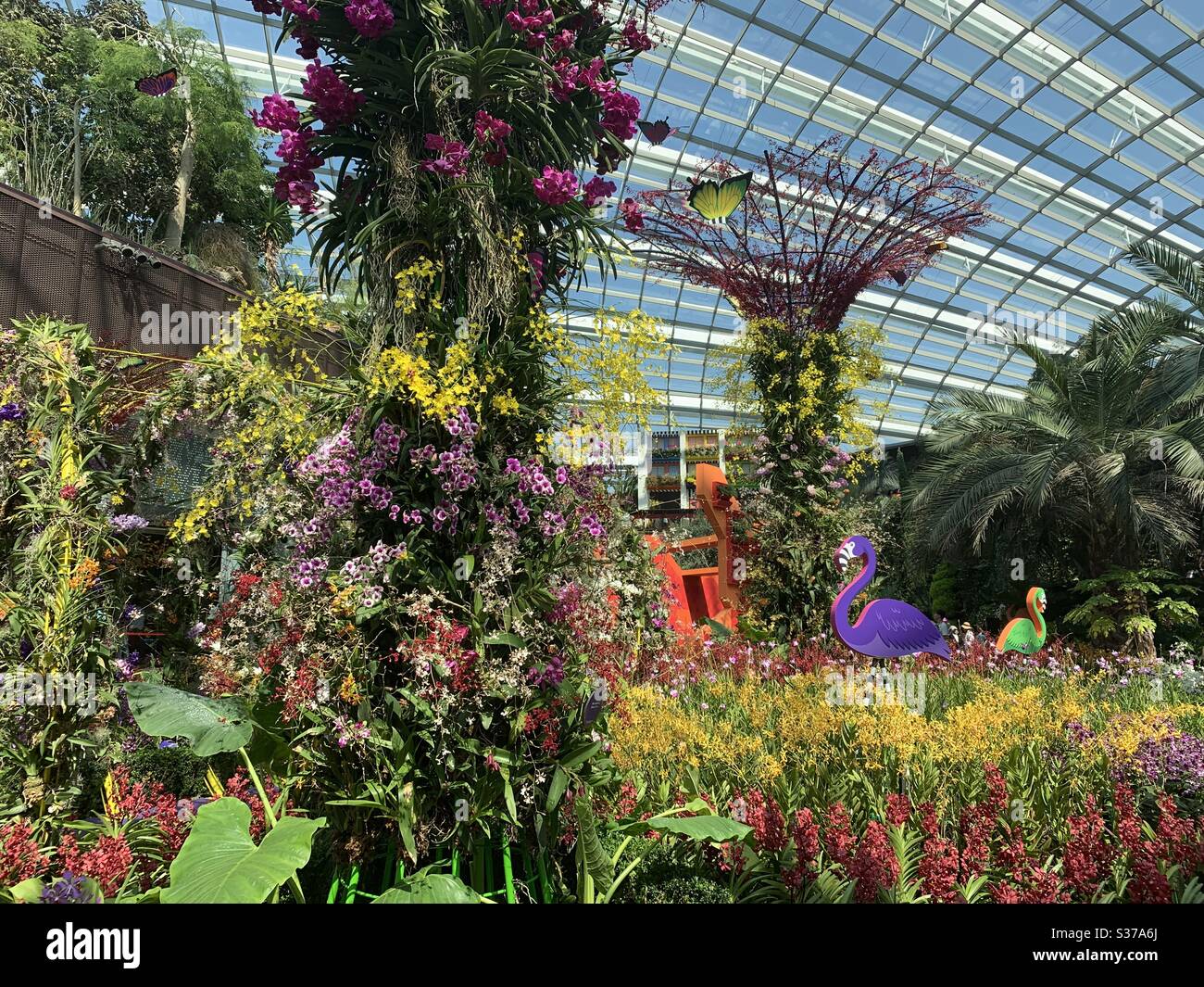 Singapore flower dome hi-res stock photography and images - Alamy