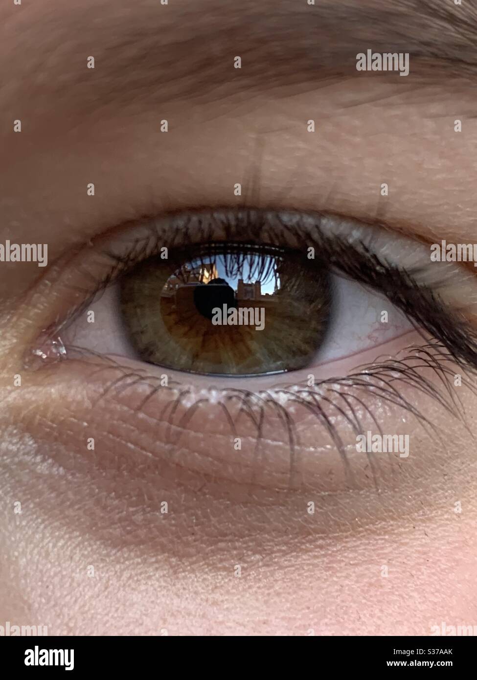 Intense eye hi-res stock photography and images - Alamy