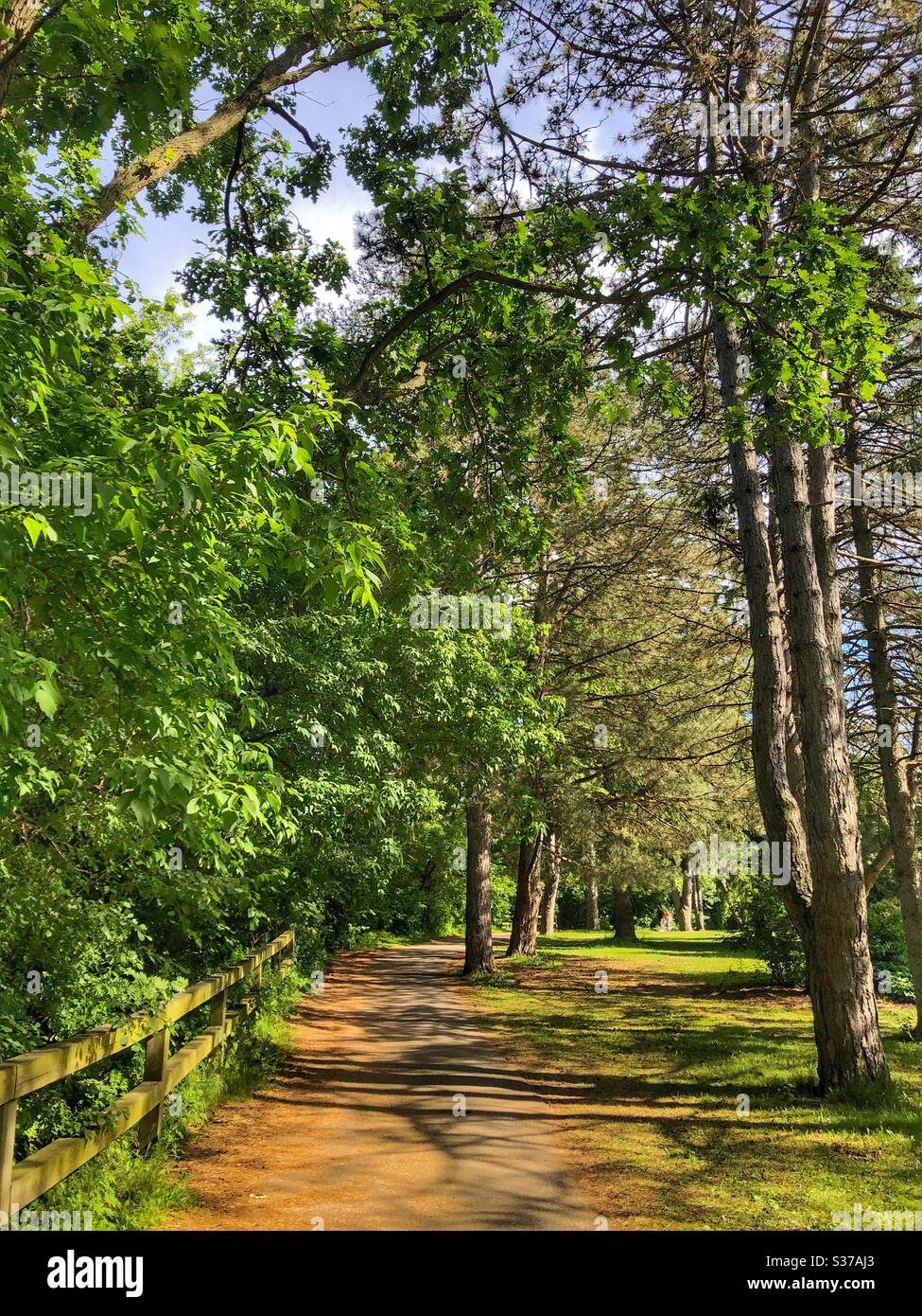 A quiet nature path Stock Photo - Alamy
