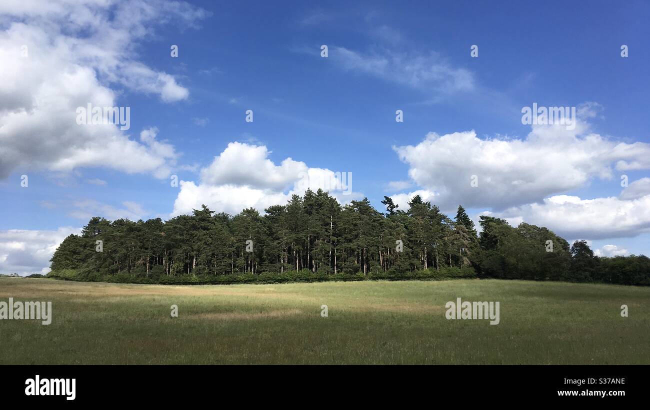 Field copse hi-res stock photography and images - Alamy