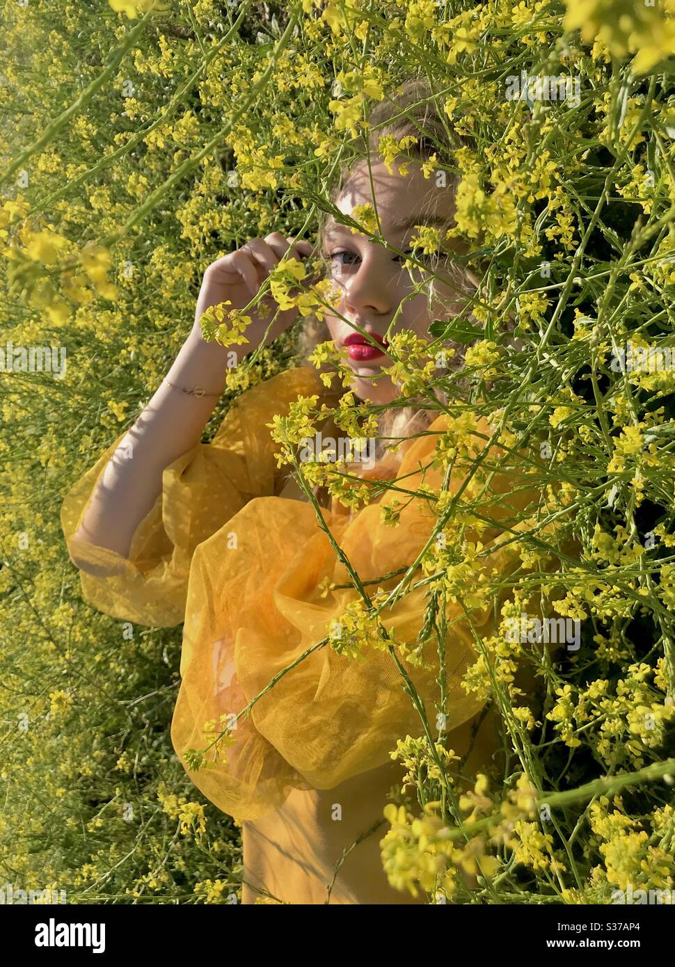 Lost to nature hi-res stock photography and images - Alamy