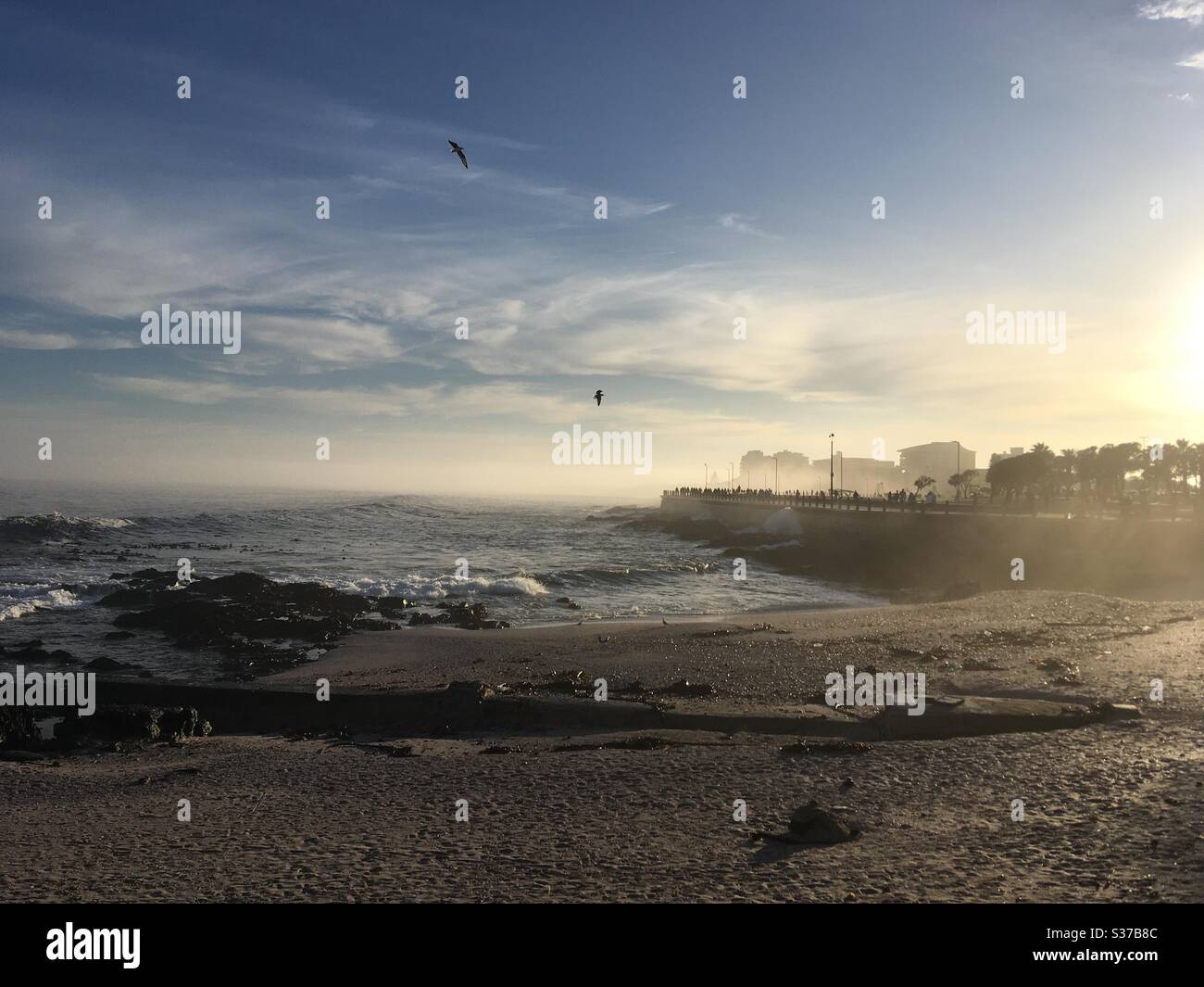 Sea point cape town hi-res stock photography and images - Alamy