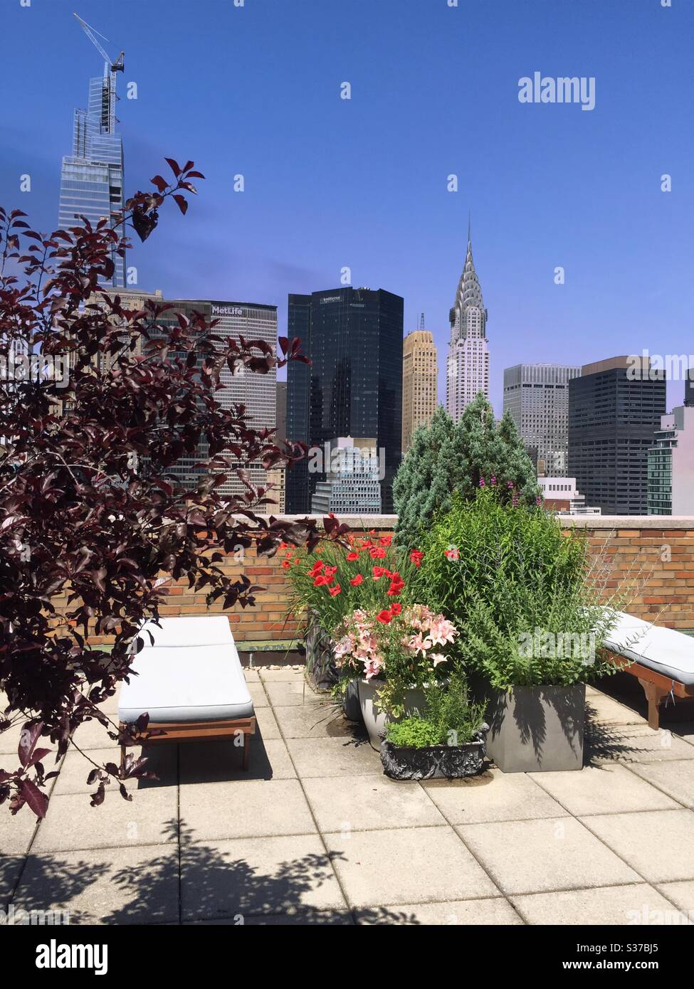 A sundeck in a luxury apartment house in Murray Hill offers a view of ...