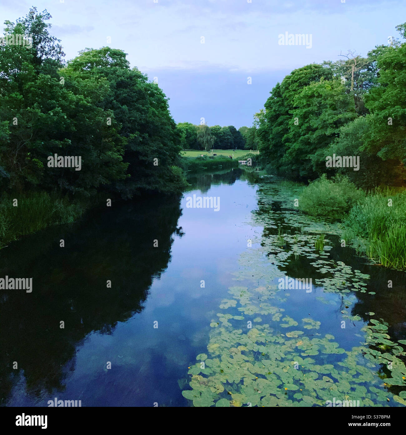 Beautiful evening walk over the river Stock Photo - Alamy