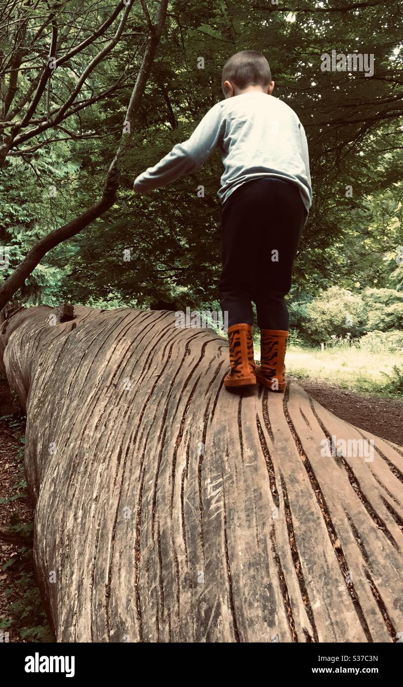 Boy walking on log hi-res stock photography and images - Alamy