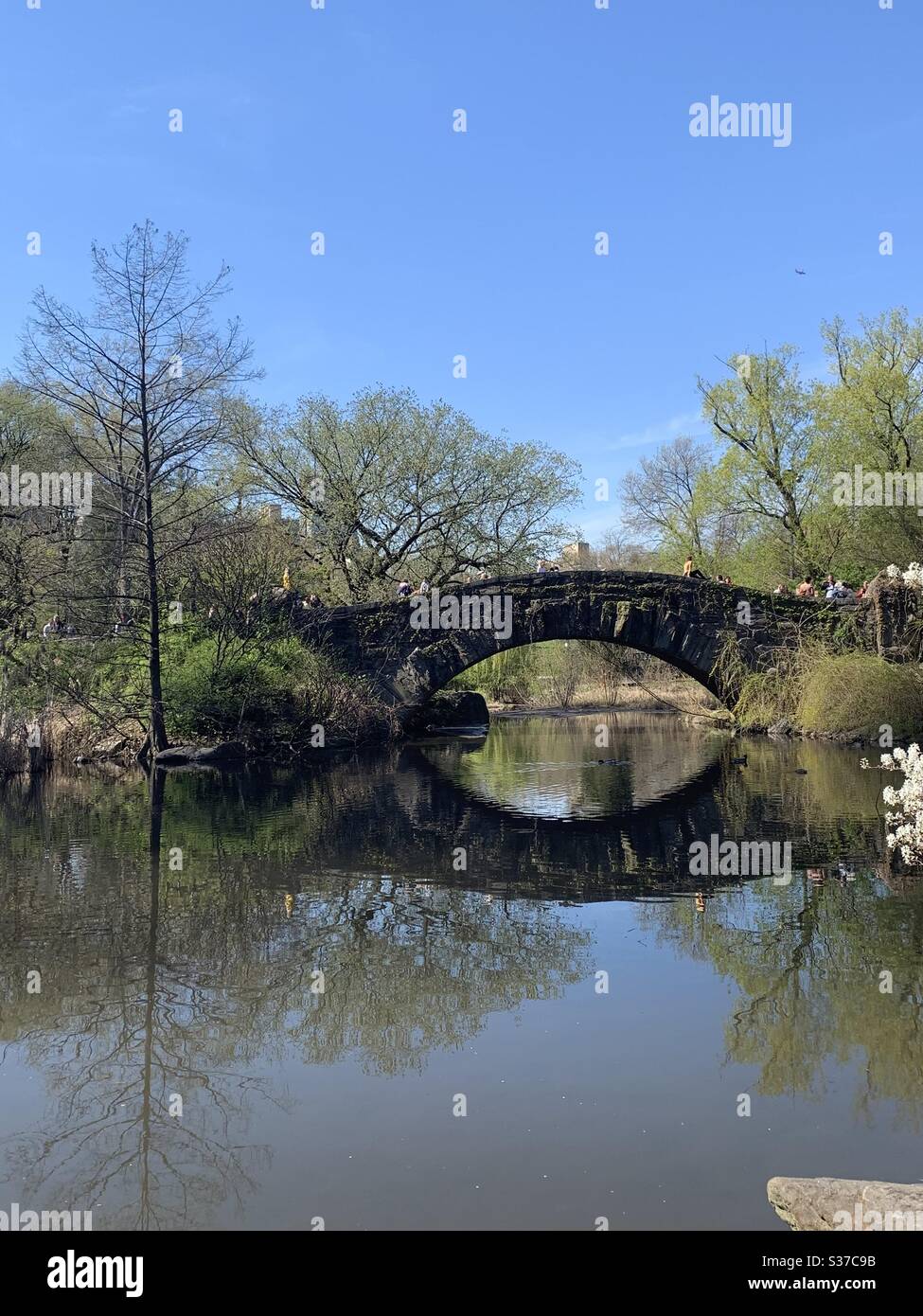 Central park bridge spring hi-res stock photography and images - Alamy
