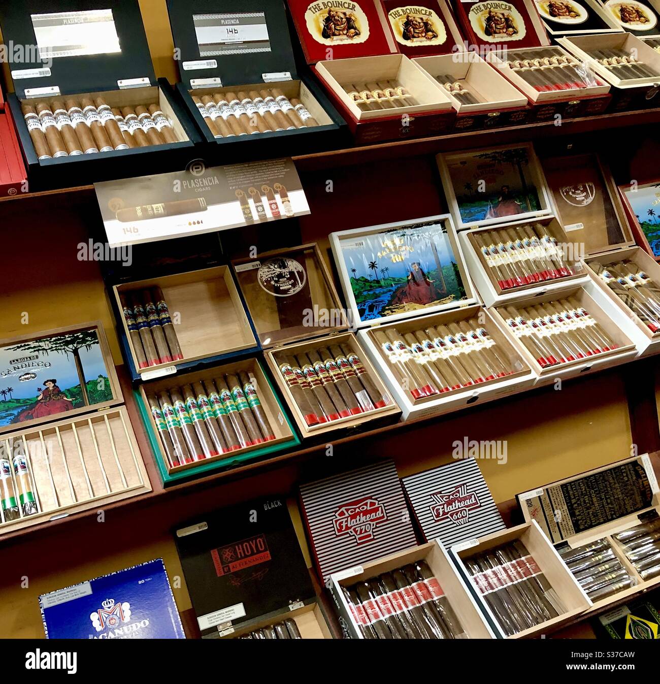A variety of cigars from all over the world in the cigar humidor of a ...