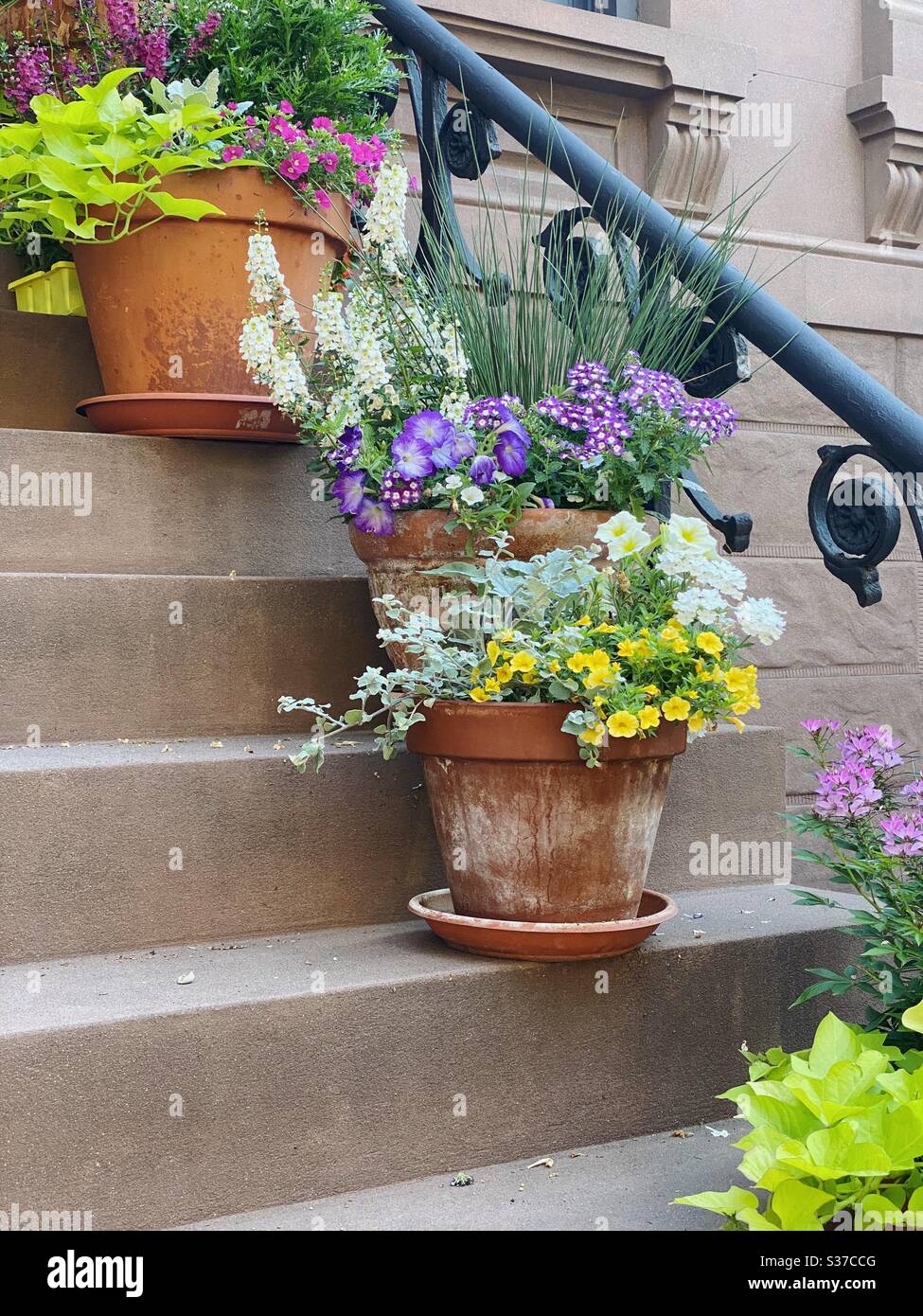 Stoop house hi-res stock photography and images - Alamy