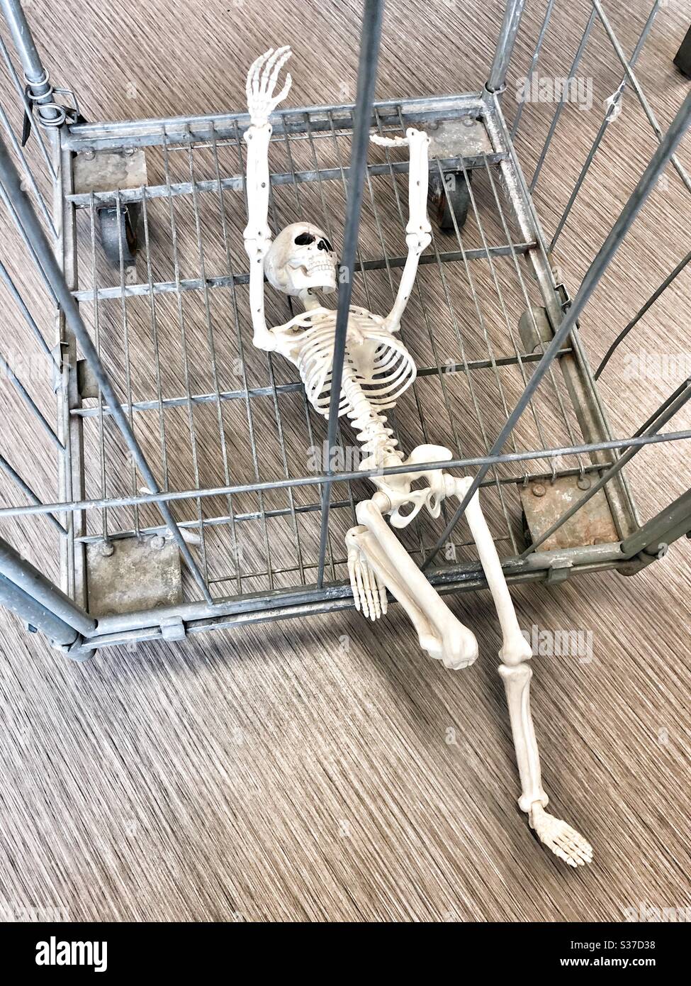 Wire transport hi-res stock photography and images - Alamy