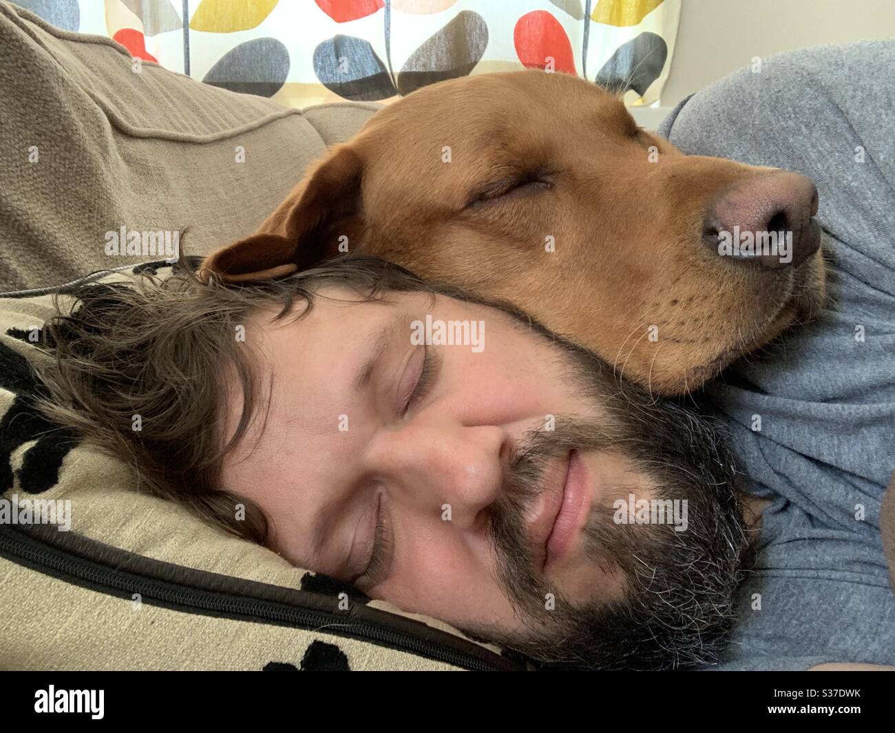 Dog and master hi-res stock photography and images - Alamy