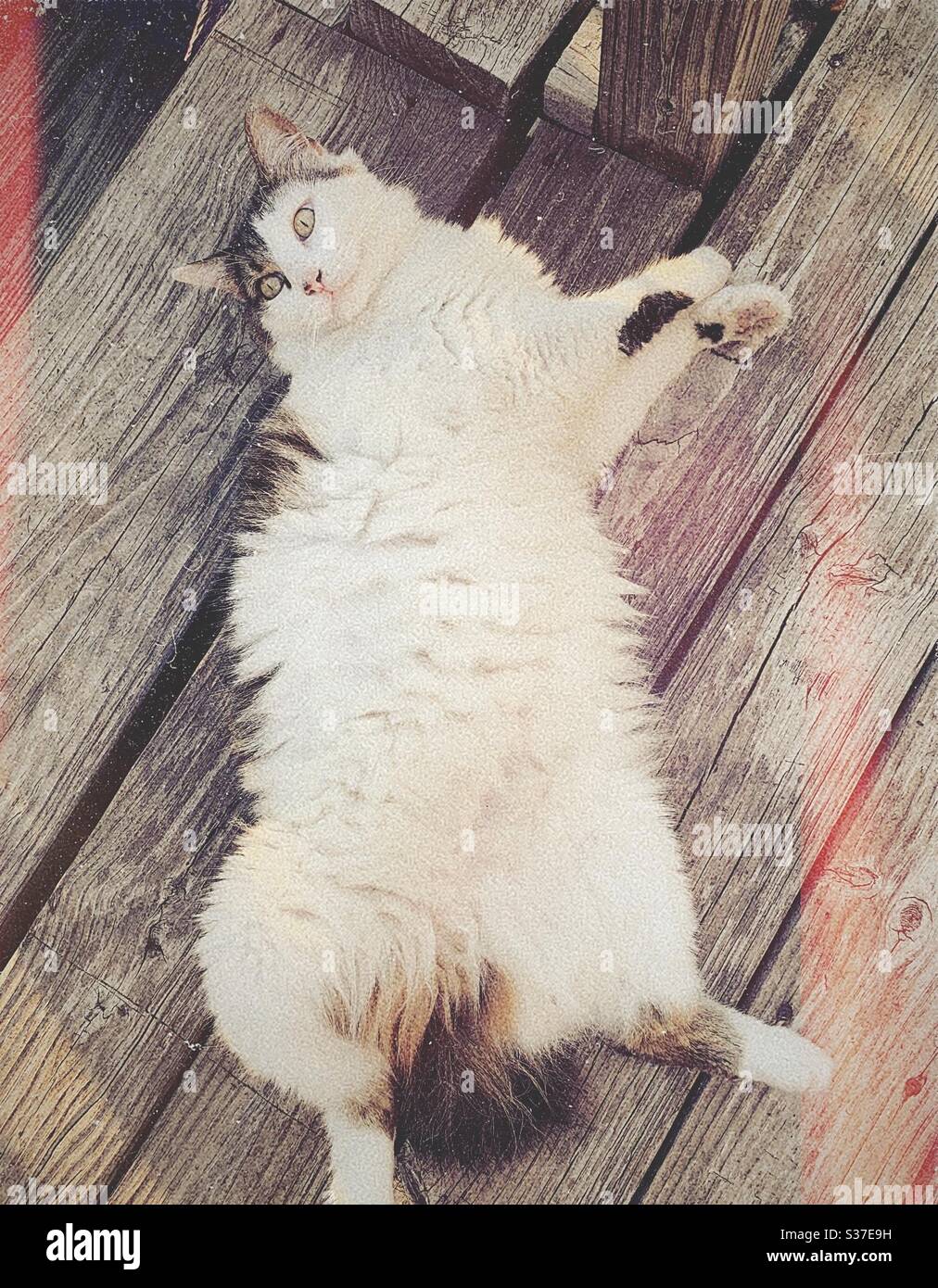 Long haired male hi-res stock photography and images - Alamy