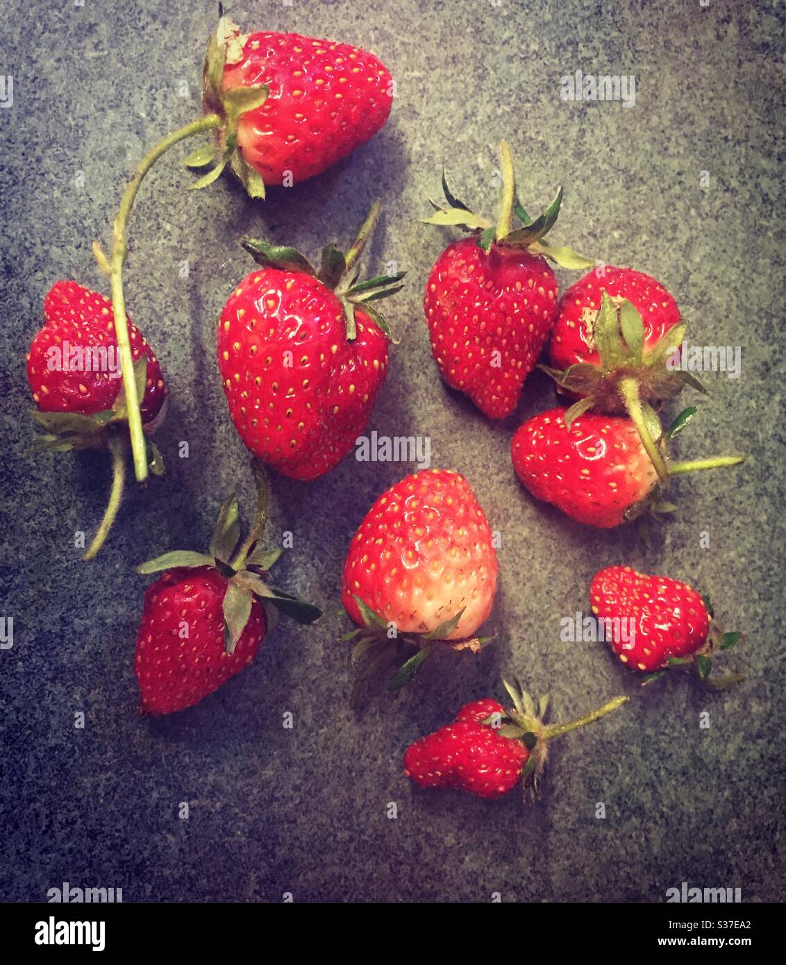 First crop hi-res stock photography and images - Alamy