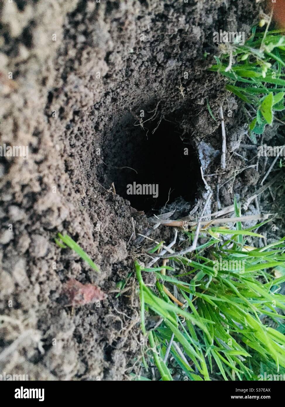 Best pic hi-res stock photography and images - Alamy