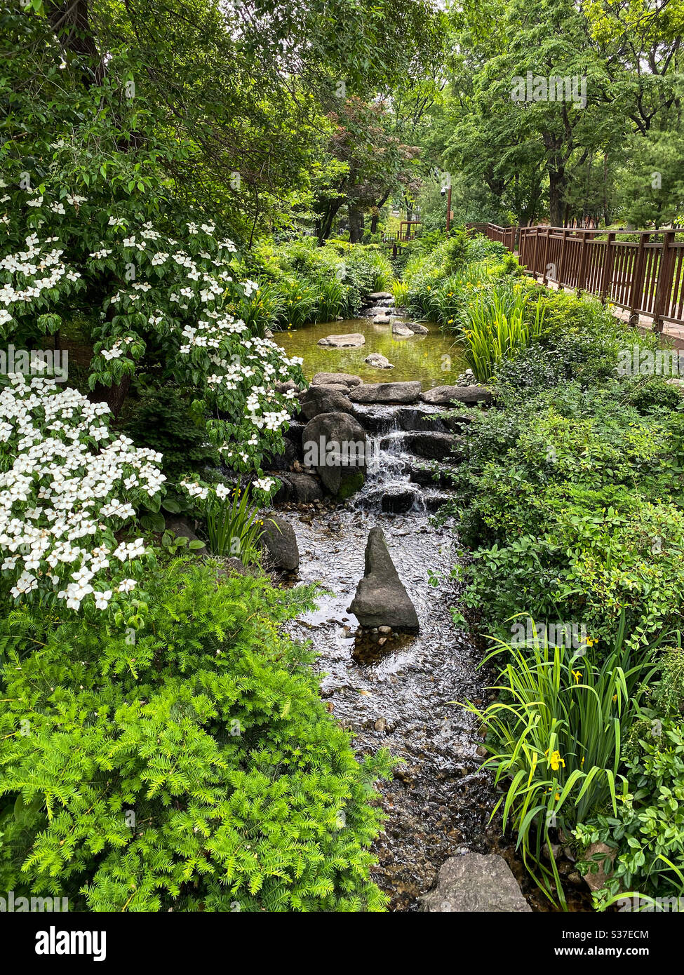 Rivulet hi-res stock photography and images - Alamy