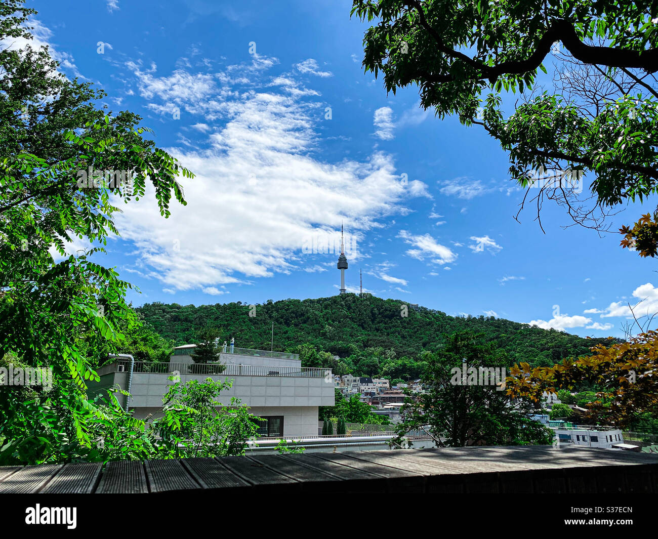 Seoul Namsan tower view in Summer Stock Photo - Alamy