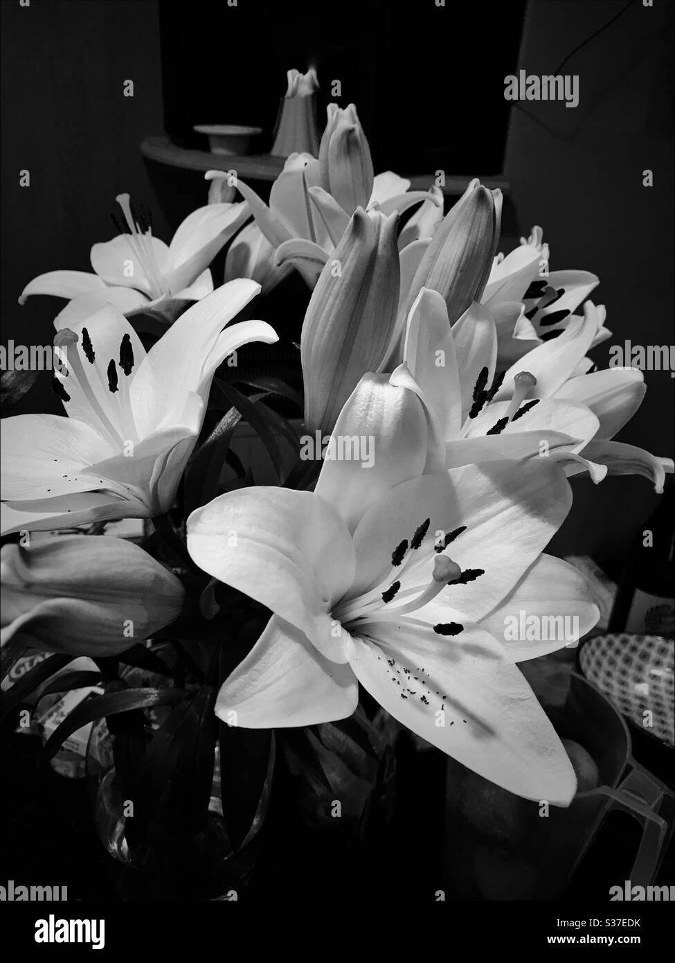 St joseph lily hi-res stock photography and images - Alamy