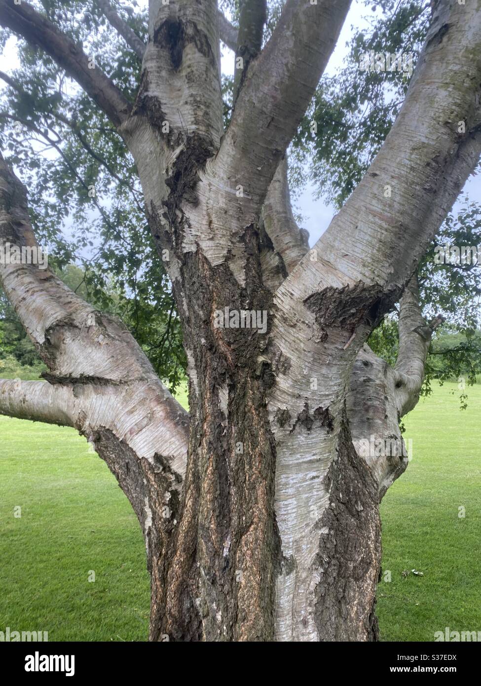 Old shedding hi-res stock photography and images - Alamy