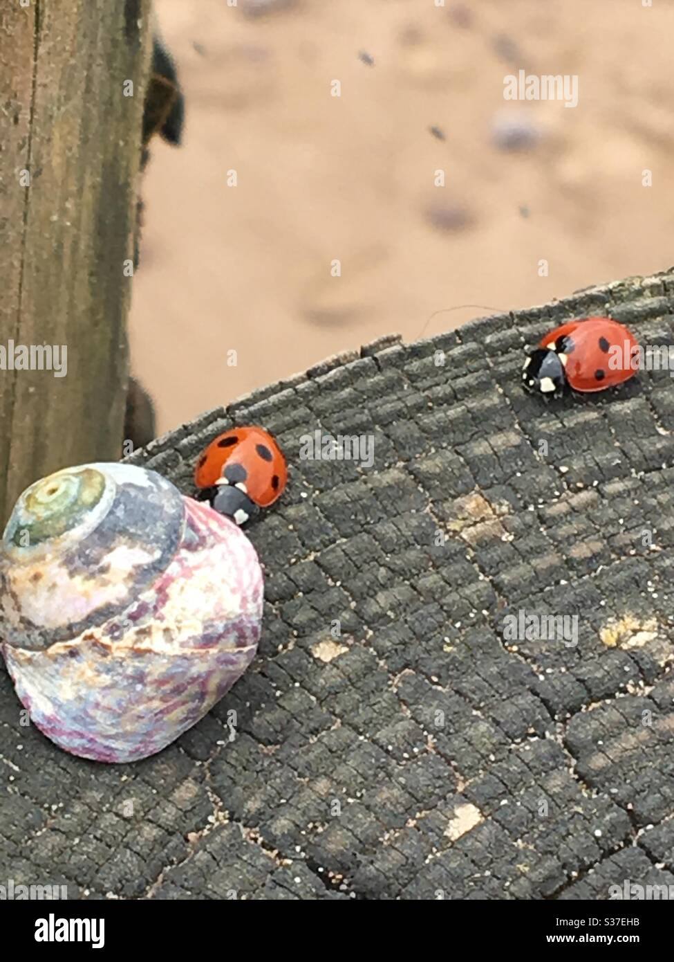 Dunster beach hi-res stock photography and images - Alamy