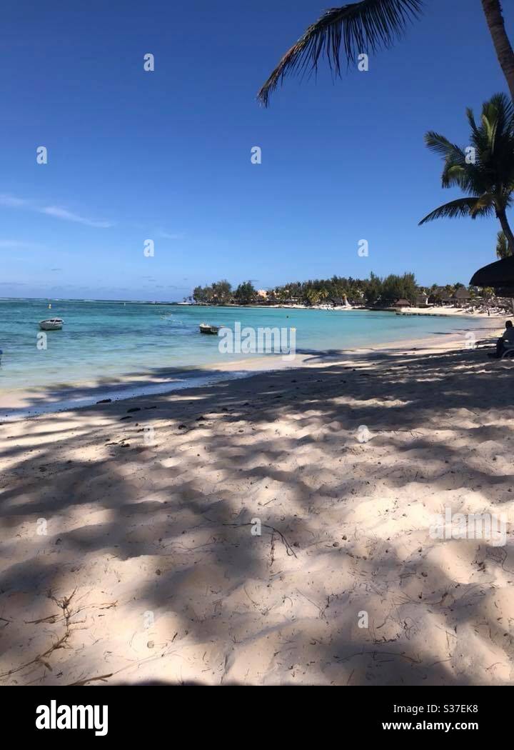 A shady beach in Mauritius Stock Photo - Alamy