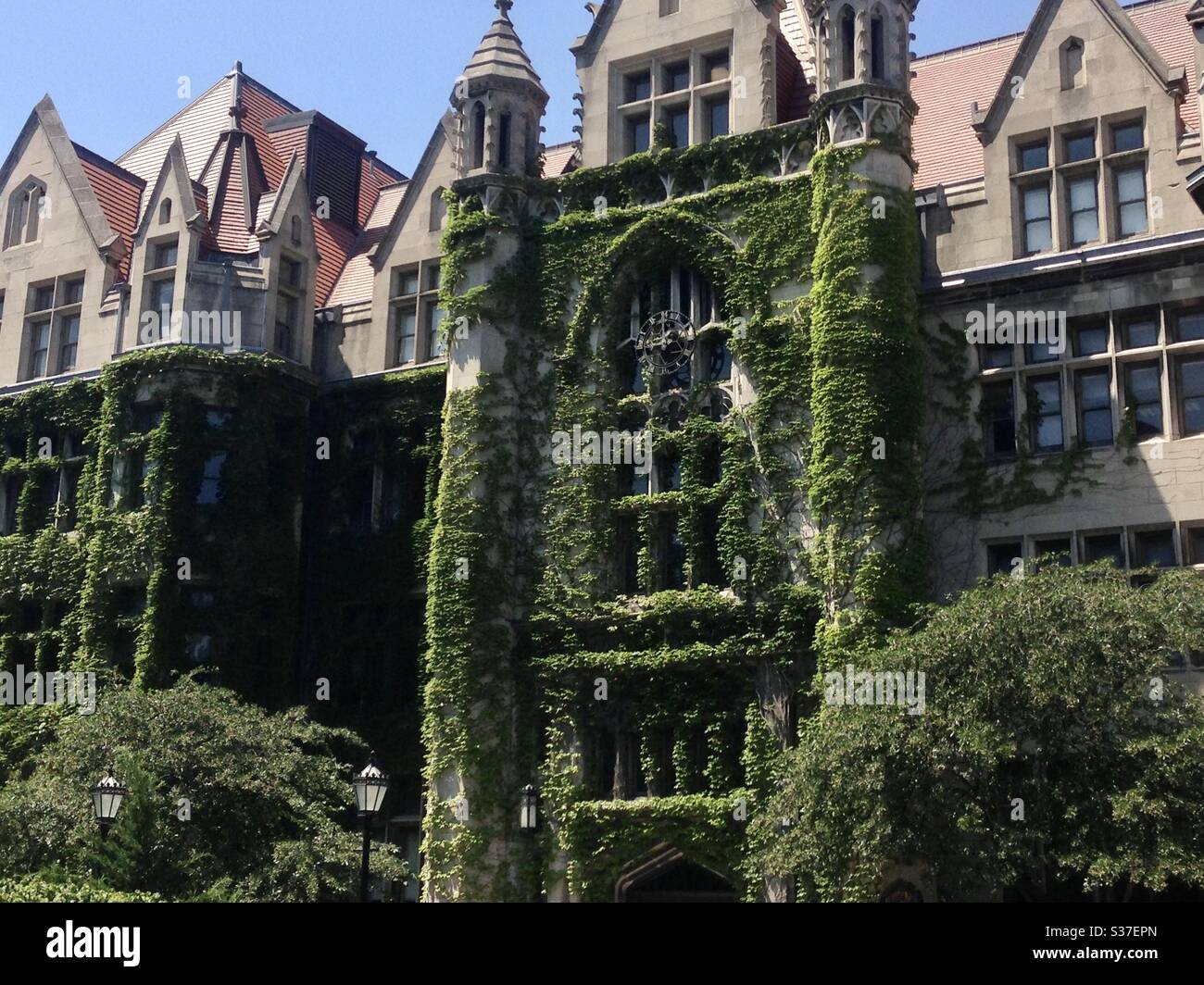 Ivy covered university building hi-res stock photography and images - Alamy