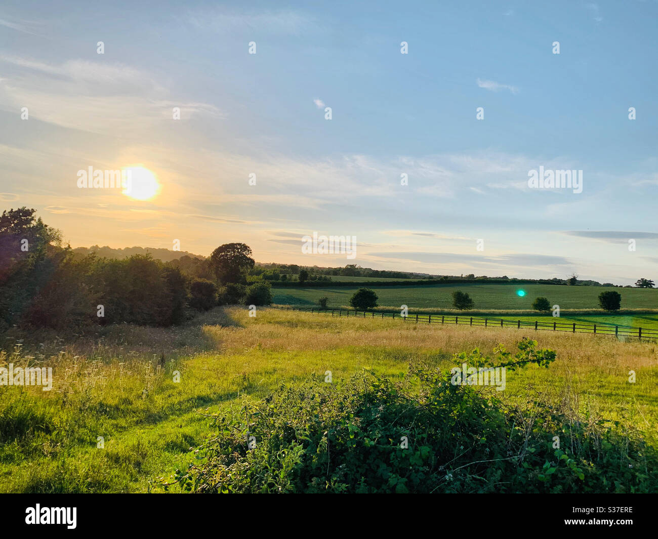 Hs2 nature hi-res stock photography and images - Alamy