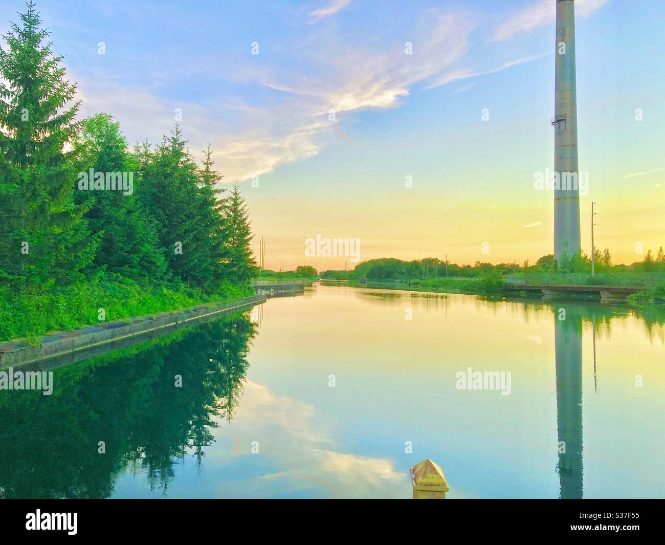 Nurture nature hi-res stock photography and images - Alamy