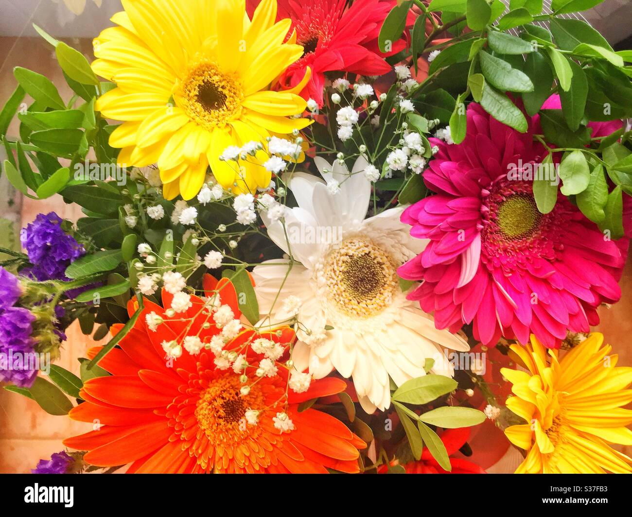 Bunch of flowers spring colours hi-res stock photography and images - Alamy