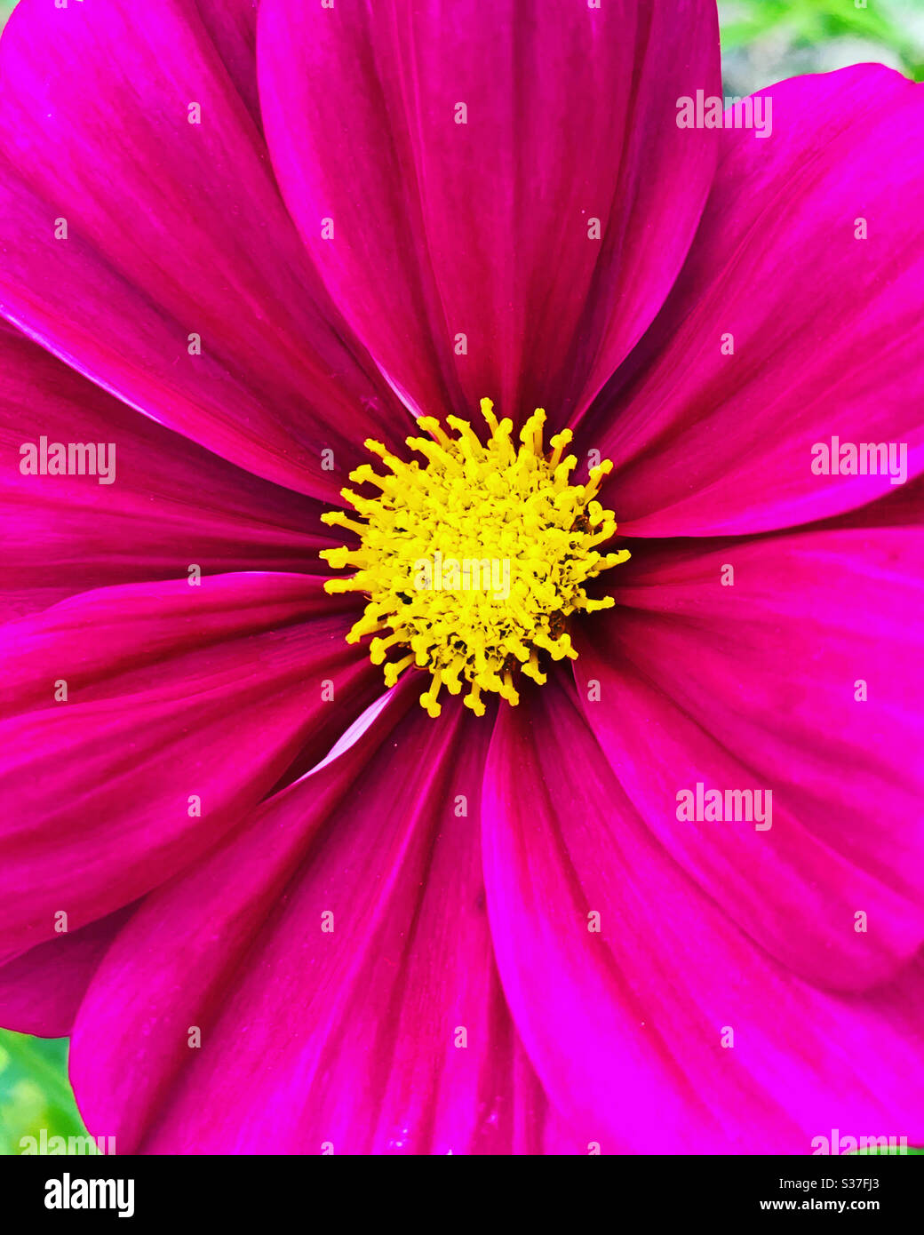 Hot summer sun hi-res stock photography and images - Alamy