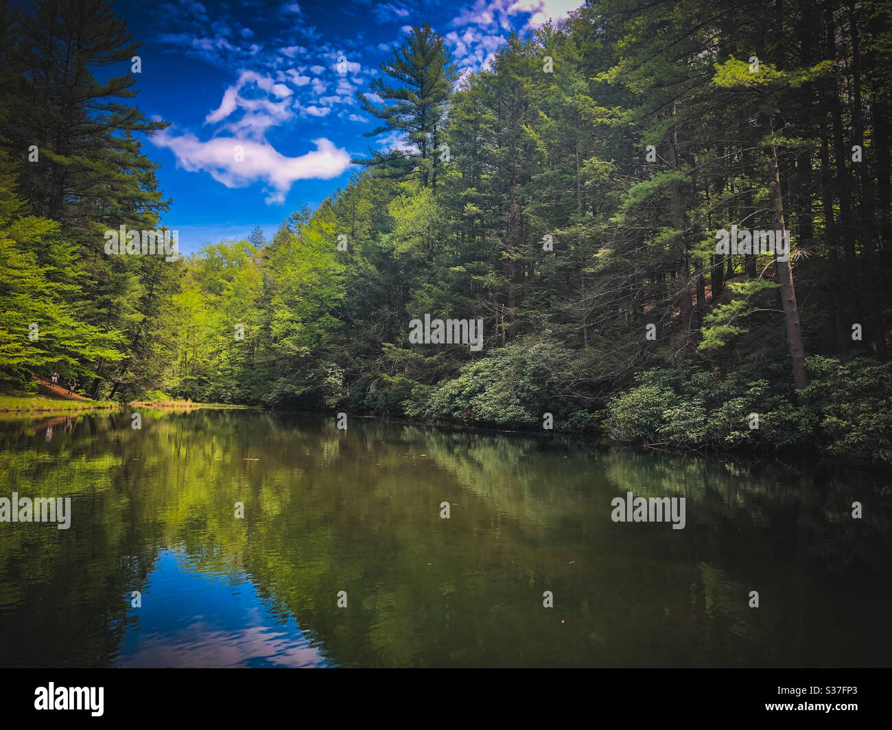 Shades of death hi-res stock photography and images - Alamy