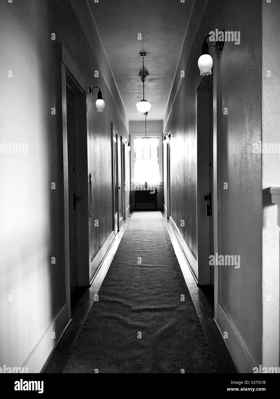 Wolf hotel hi-res stock photography and images - Alamy